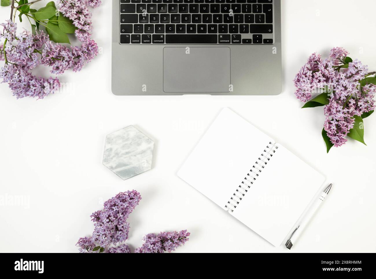Top view of purple lilac flowers on white background. Laptop computer ...