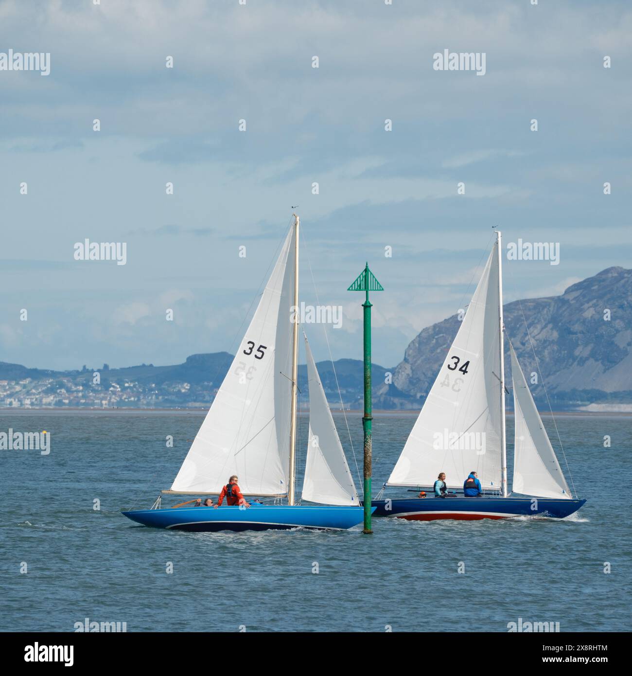 Sailing dinghy taking part in a Regatta in the Menai Straits off the ...