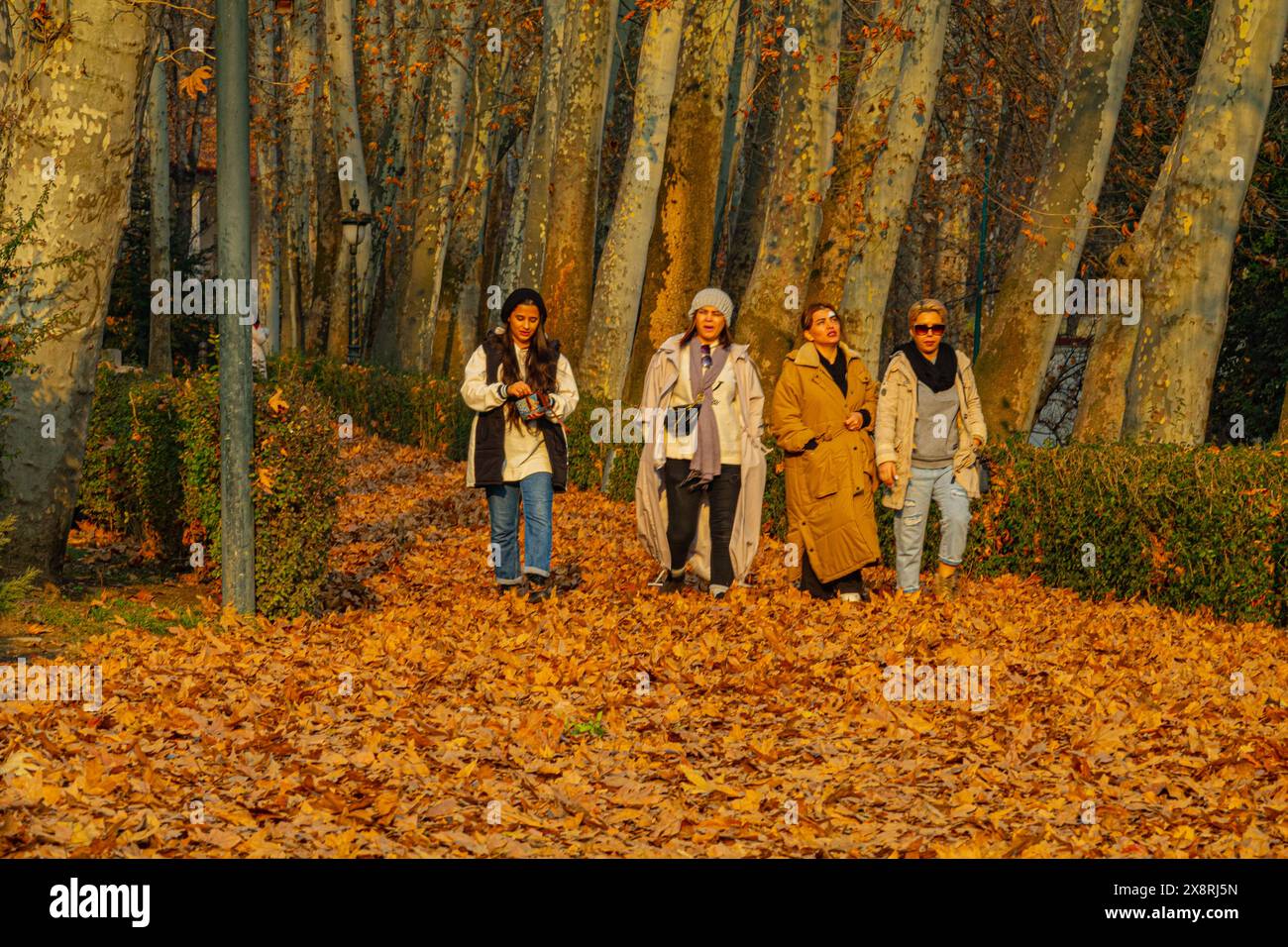 Tehran, Iran- December 20, 2022: Women walk in the old autumn park ...