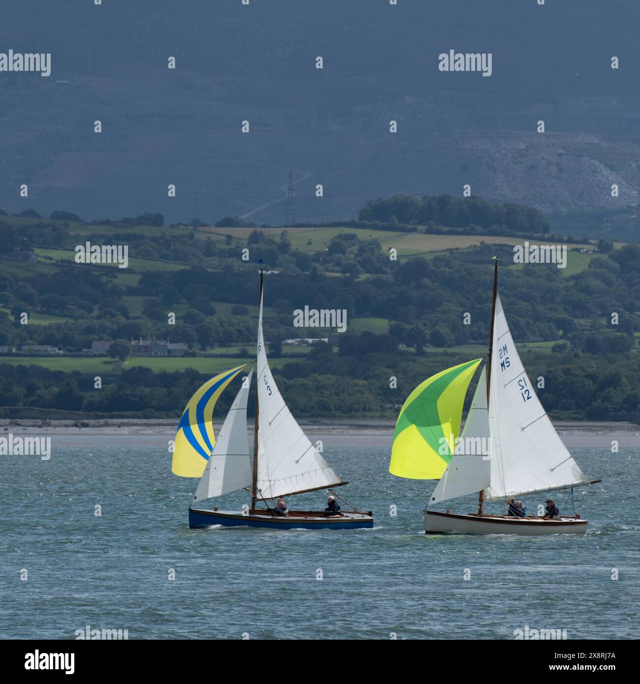 Sailing dinghy taking part in a Regatta in the Menai Straits off the ...