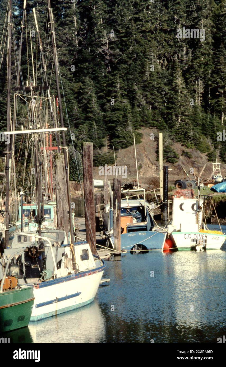 Colorado, U.S.A., approx. 1987. Fishing boats in a marina in a mountain ...