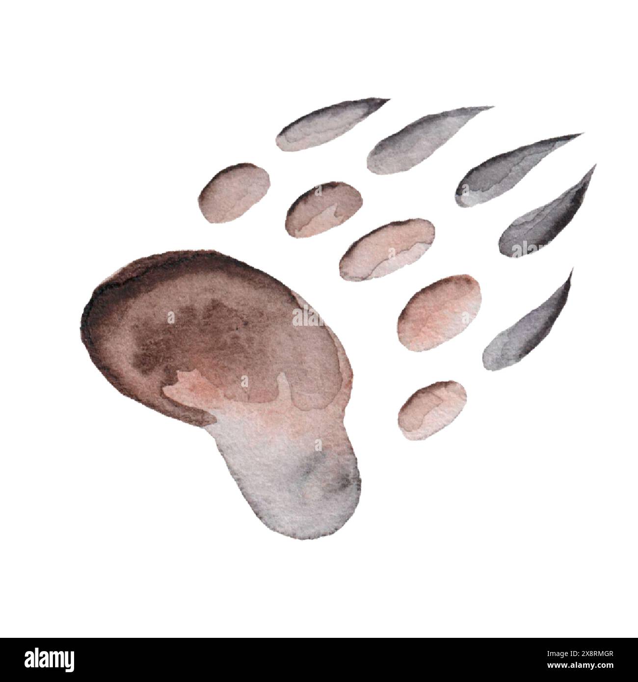 Animal footprint watercolor. Hand drawn drawing of a wild animal paw ...