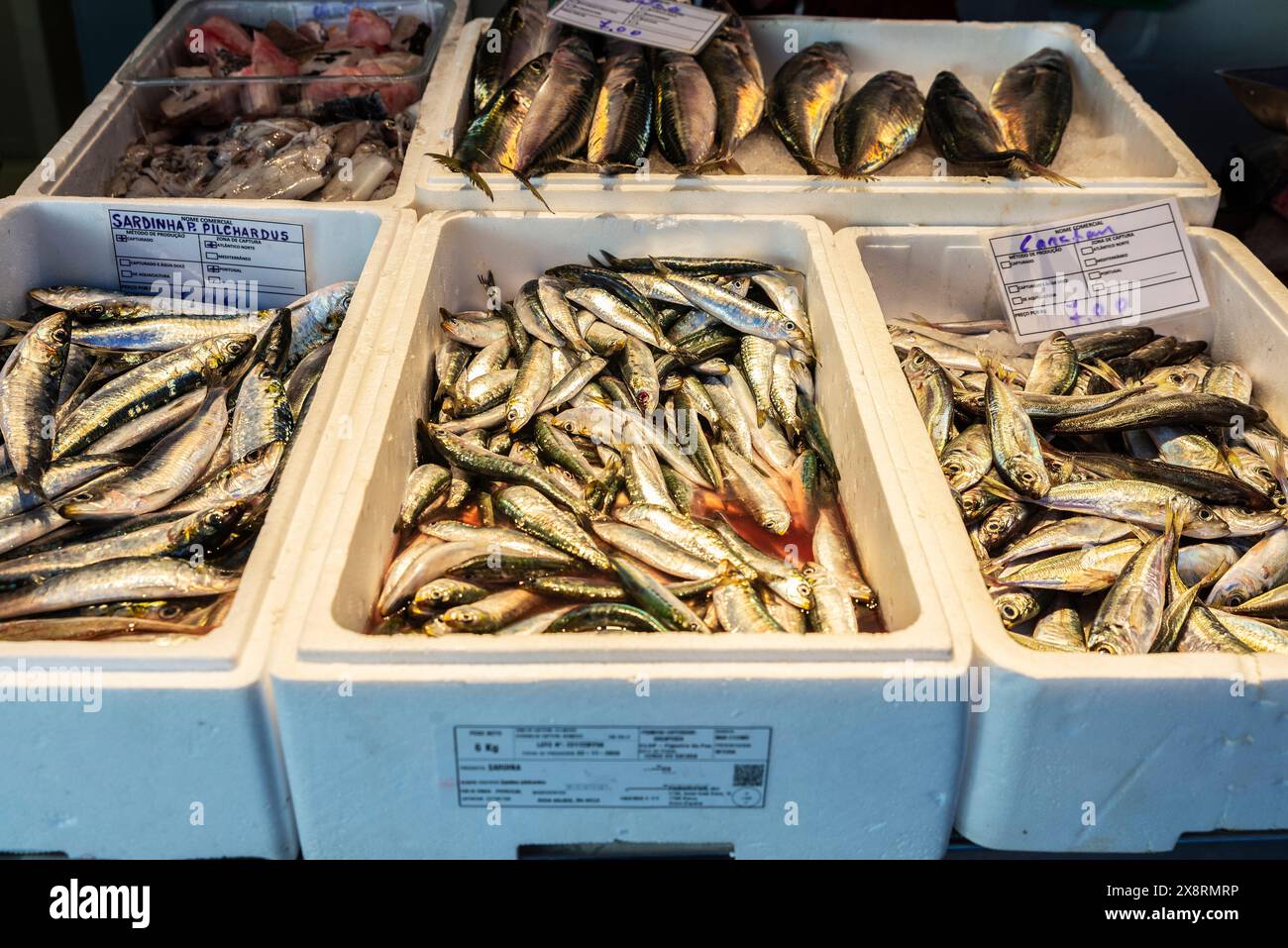 Fresh fish, sardines and squid in a fish shop in Bolhao Market, street ...