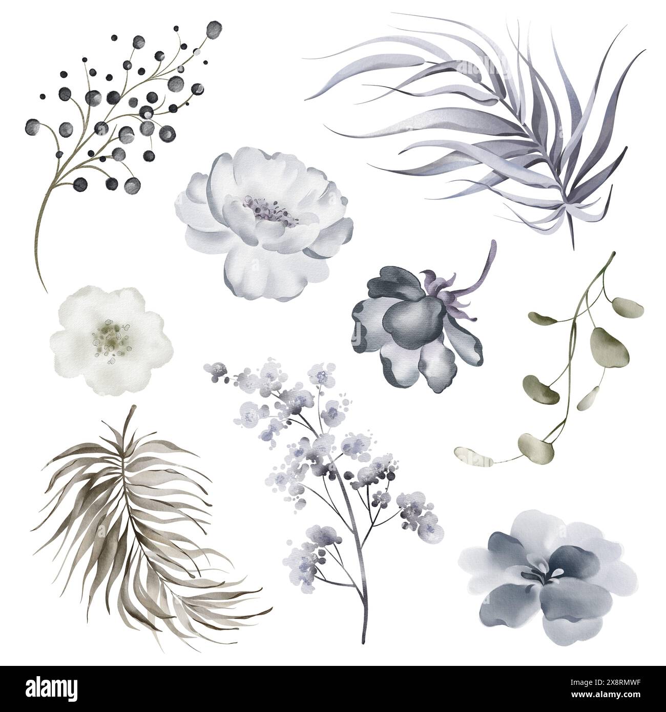 Watercolor set of indigo greenery. Leaves and flowers isolated on white ...