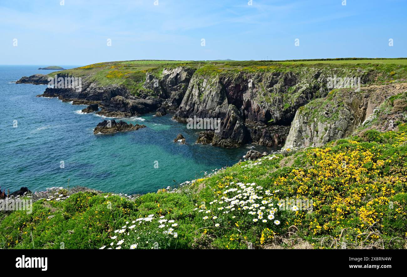 Rugged cliffs on Pembrokeshire coast between Porthclais and St Non's ...