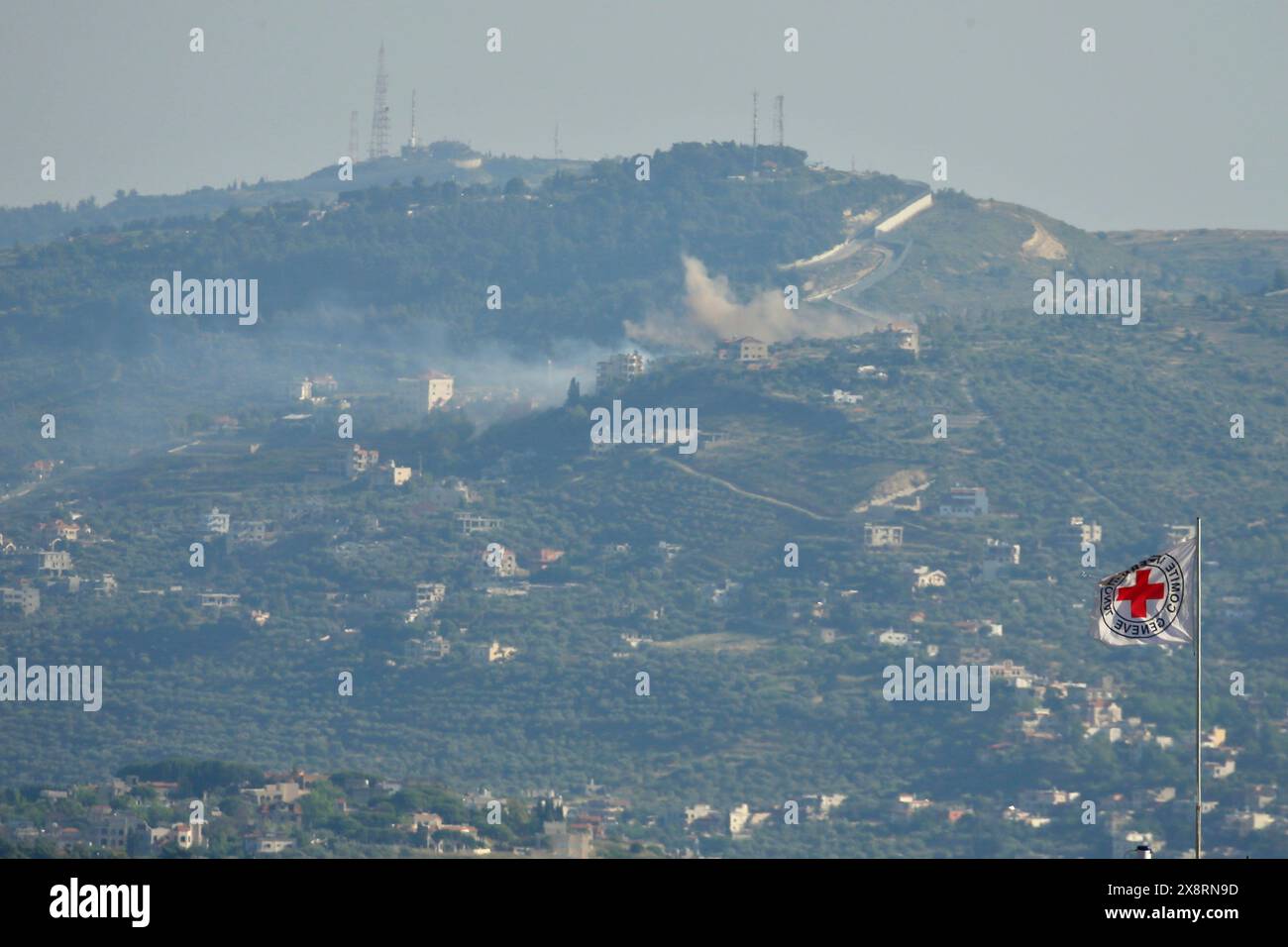 Phosphorus shells hi-res stock photography and images - Alamy