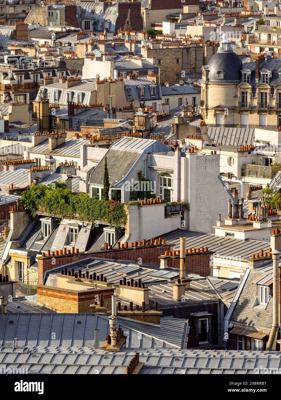 Paris rooftops and chimneys in summer. Elevated view of typical ...