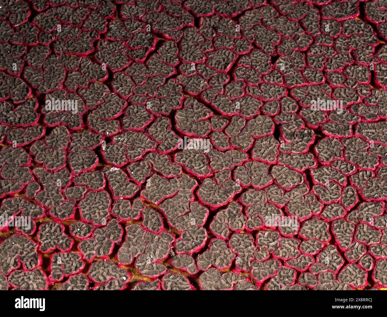 An old Ping pong racket red rubber cracked by heat Stock Photo - Alamy