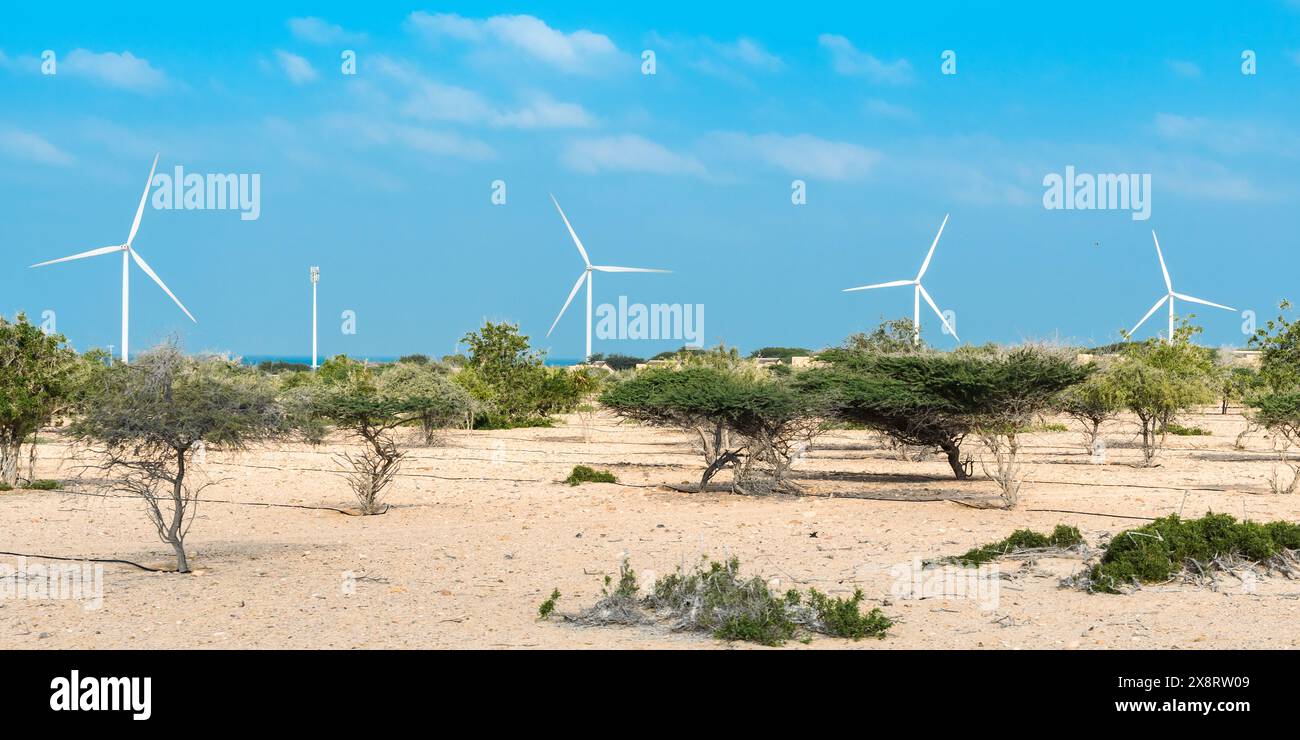 Harnessing the wind’s power, turbines stand tall amidst the arid ...