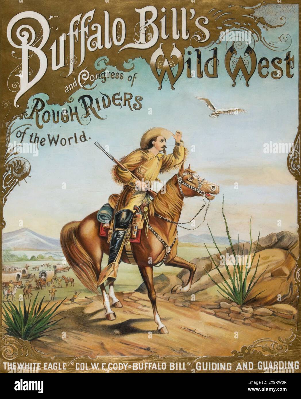 Eagle wearing cowboy hat hi-res stock photography and images - Alamy