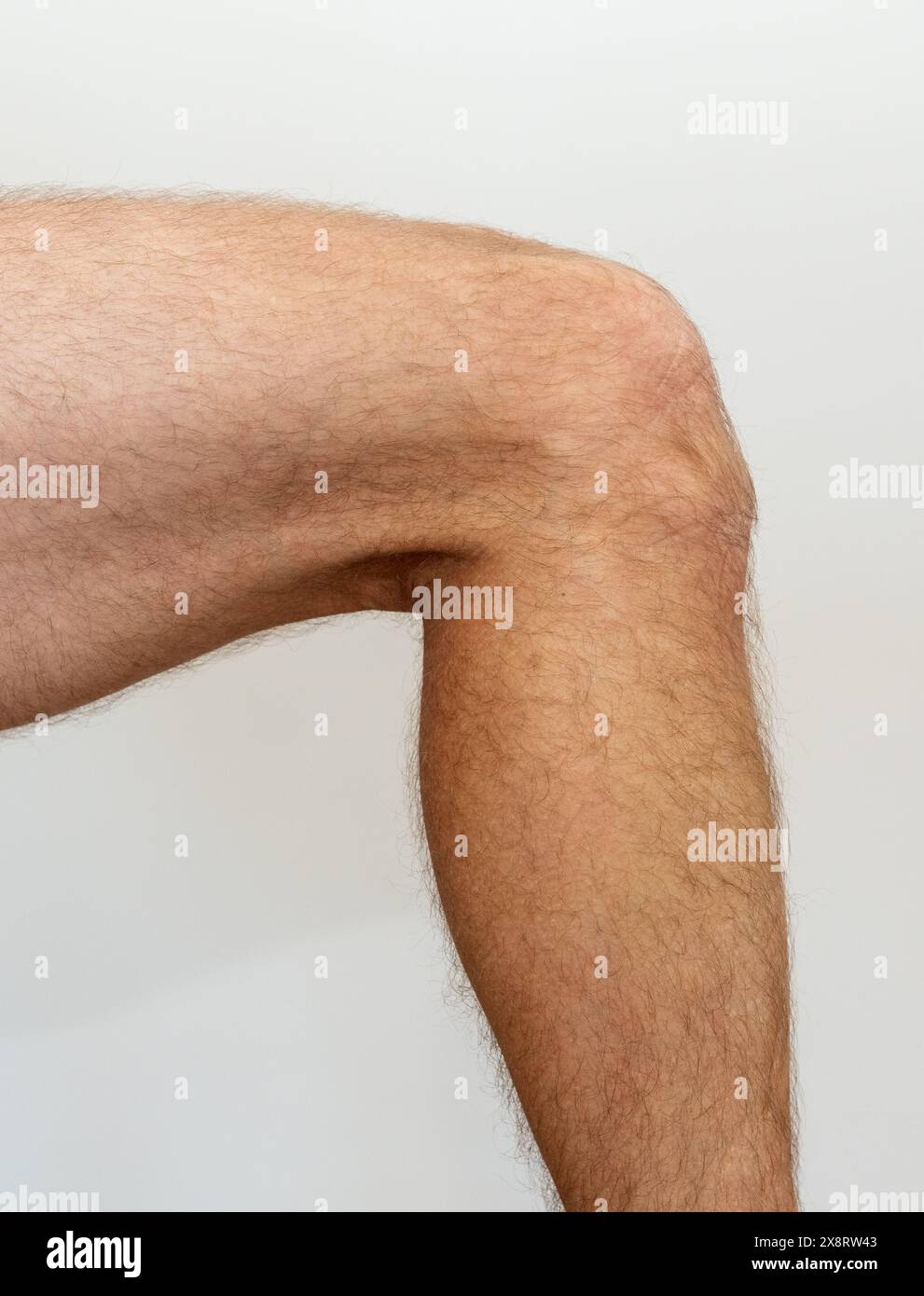 Male anatomy position hi-res stock photography and images - Alamy