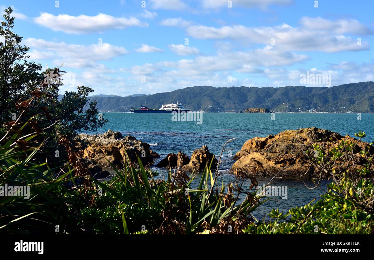 Breaker Bay, New Zealand: 7th May 2024: Bluebridge ferry, Strait ...