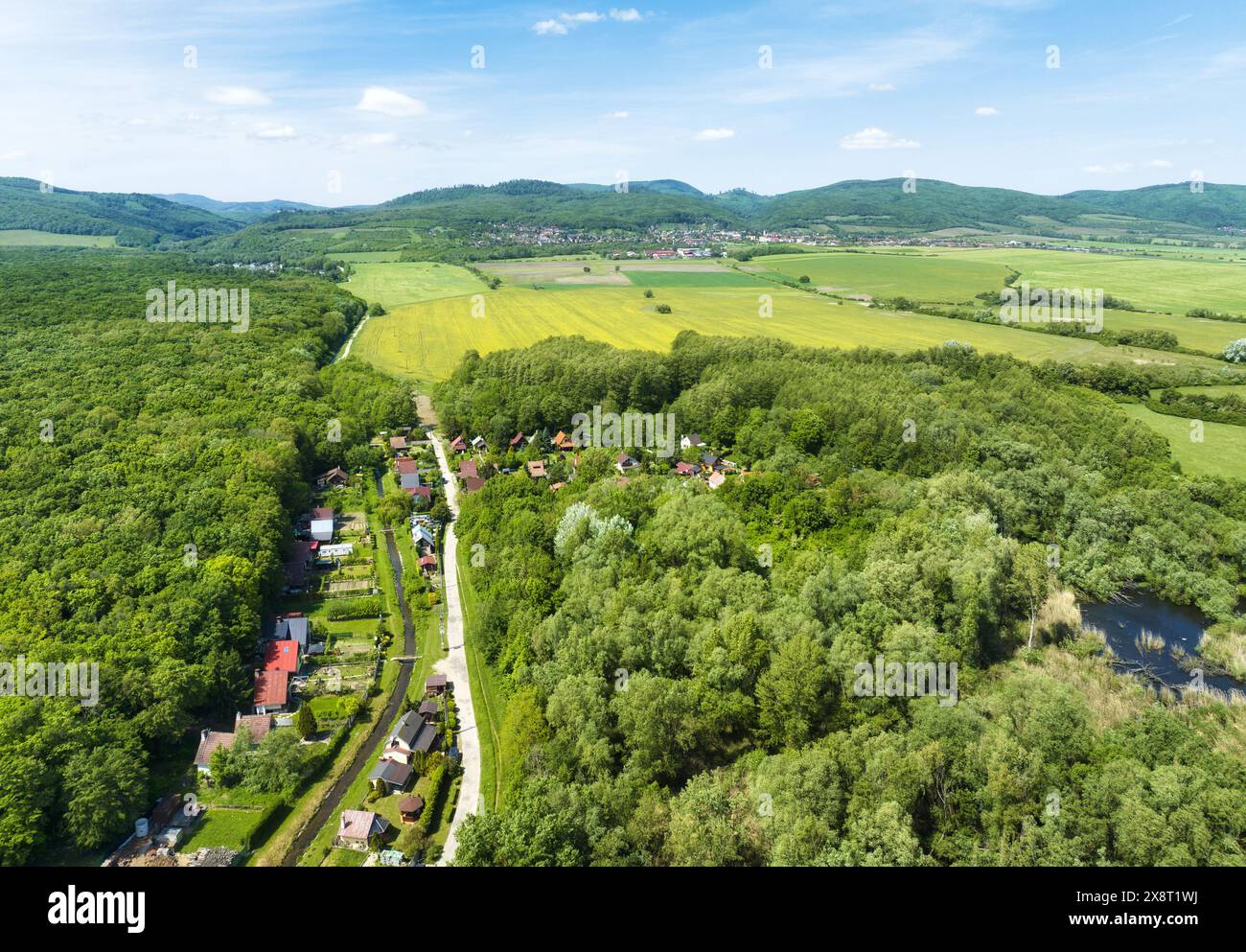 Aerial view of meadows with rows of trees, Budmerice, Slovakia Stock ...