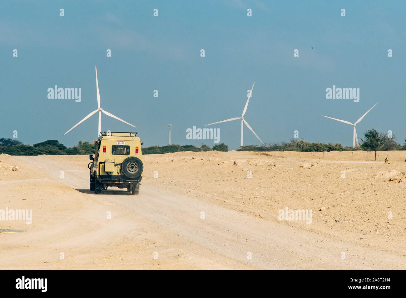 Sir Bani Yas, UAE - 5 January 2024: A vehicle tours the arid landscape ...