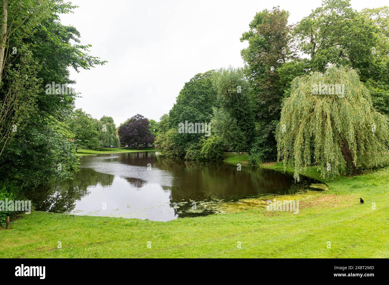 Groningen The Netherlands May 27th 2024 Noorderplantsoen park with trees reflected in the waters ...