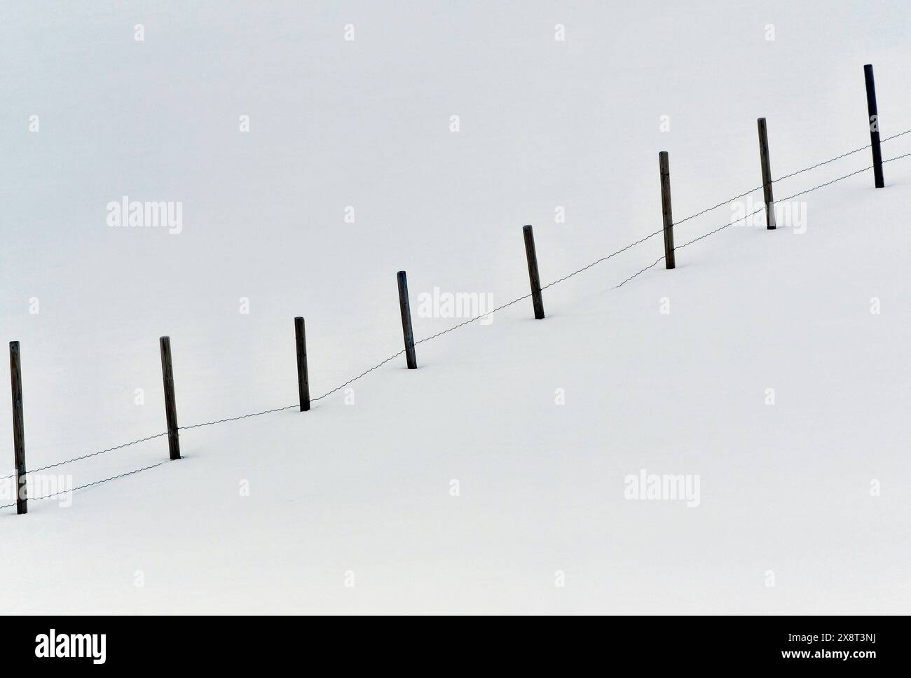 Norway, Varanger, fence Stock Photo - Alamy