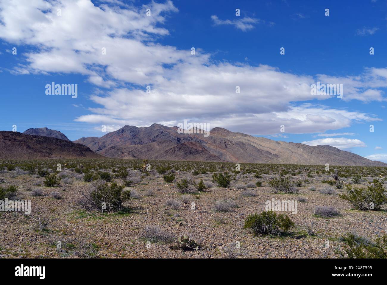 Mojave Desert landscape shown in California. Sunny day, blue sky and ...