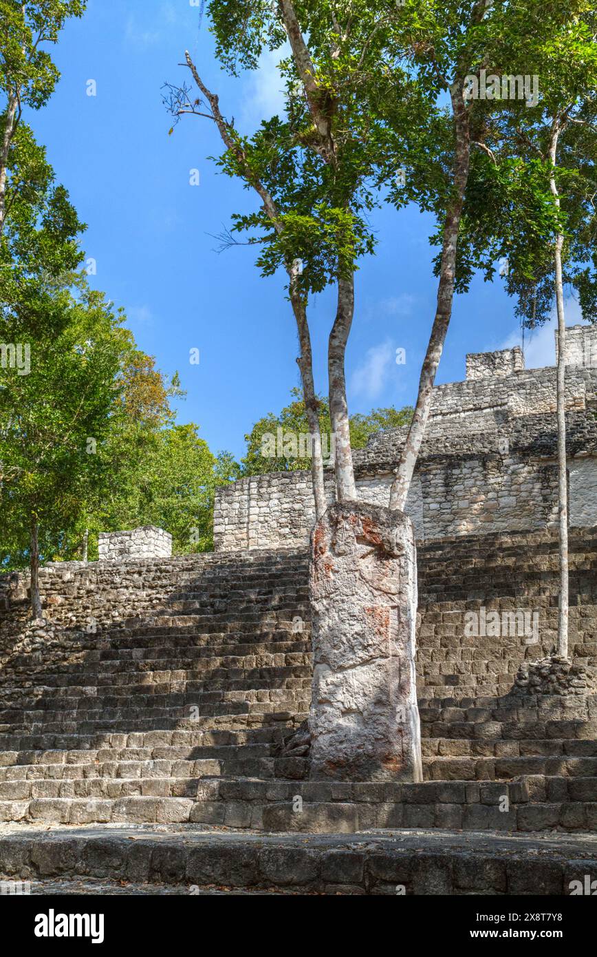 Stela 88 on Stairway of Structure 13, Calakmul Mayan Archaeological ...