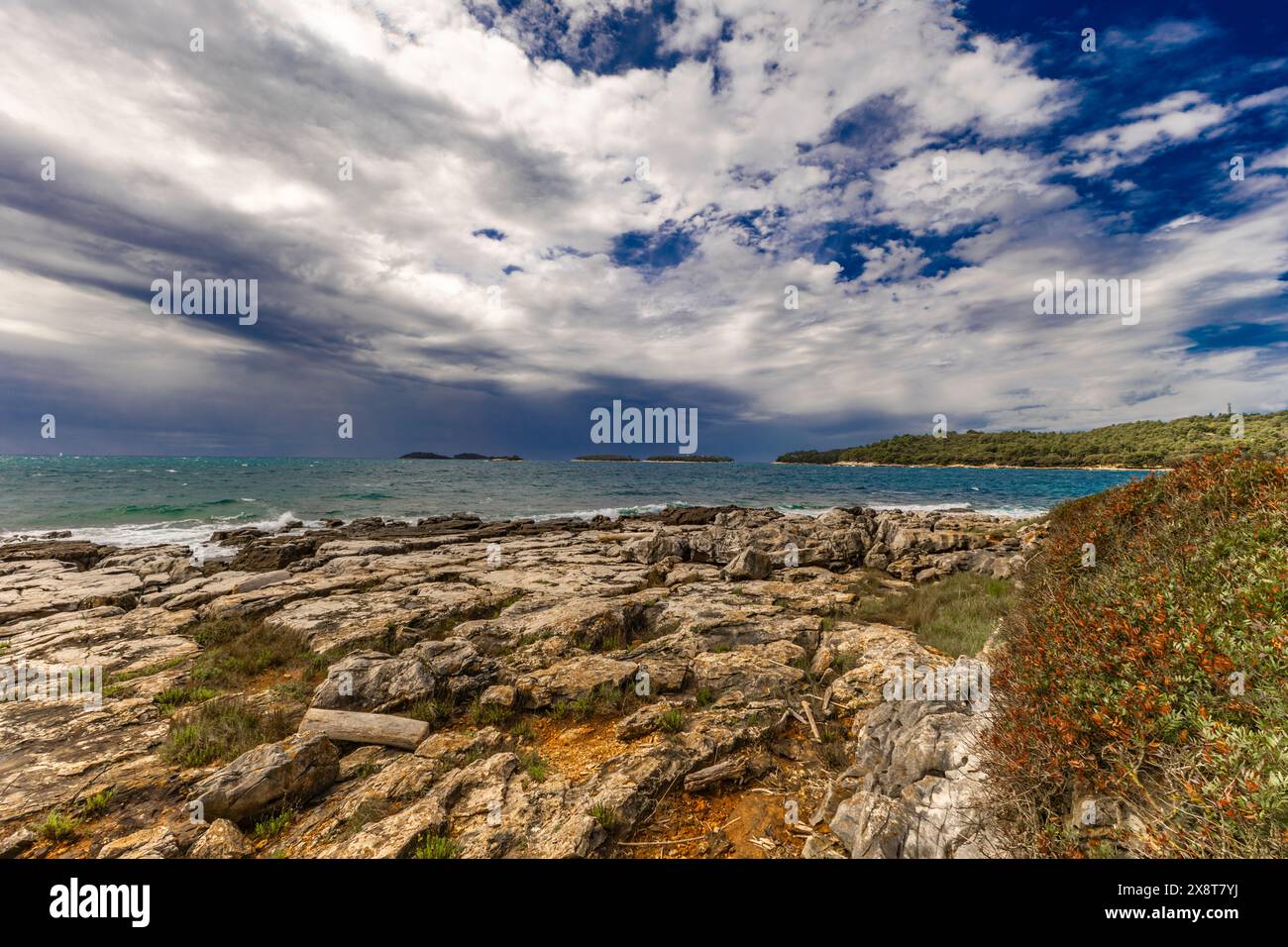 Landscape of the Croatian coast around Rovinj, rocky beaches, azure ...