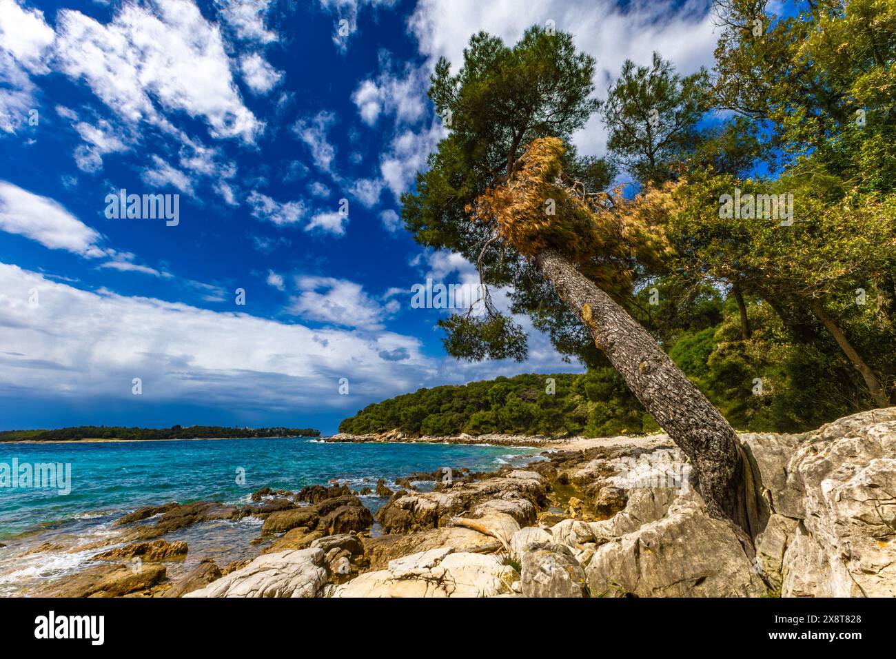 Landscape of the Croatian coast around Rovinj, rocky beaches, azure ...