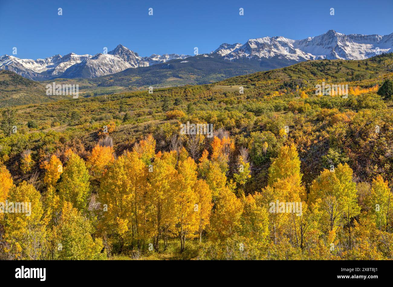 North of ouray hi-res stock photography and images - Alamy