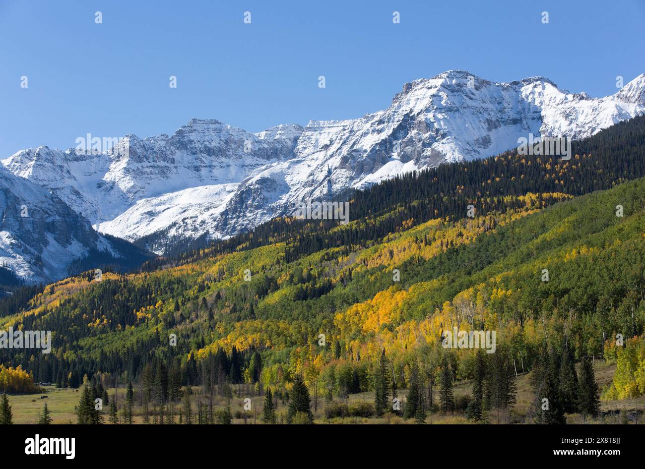 Fall Colors, of Road 7, Sneffle Range (background), near Ouray ...