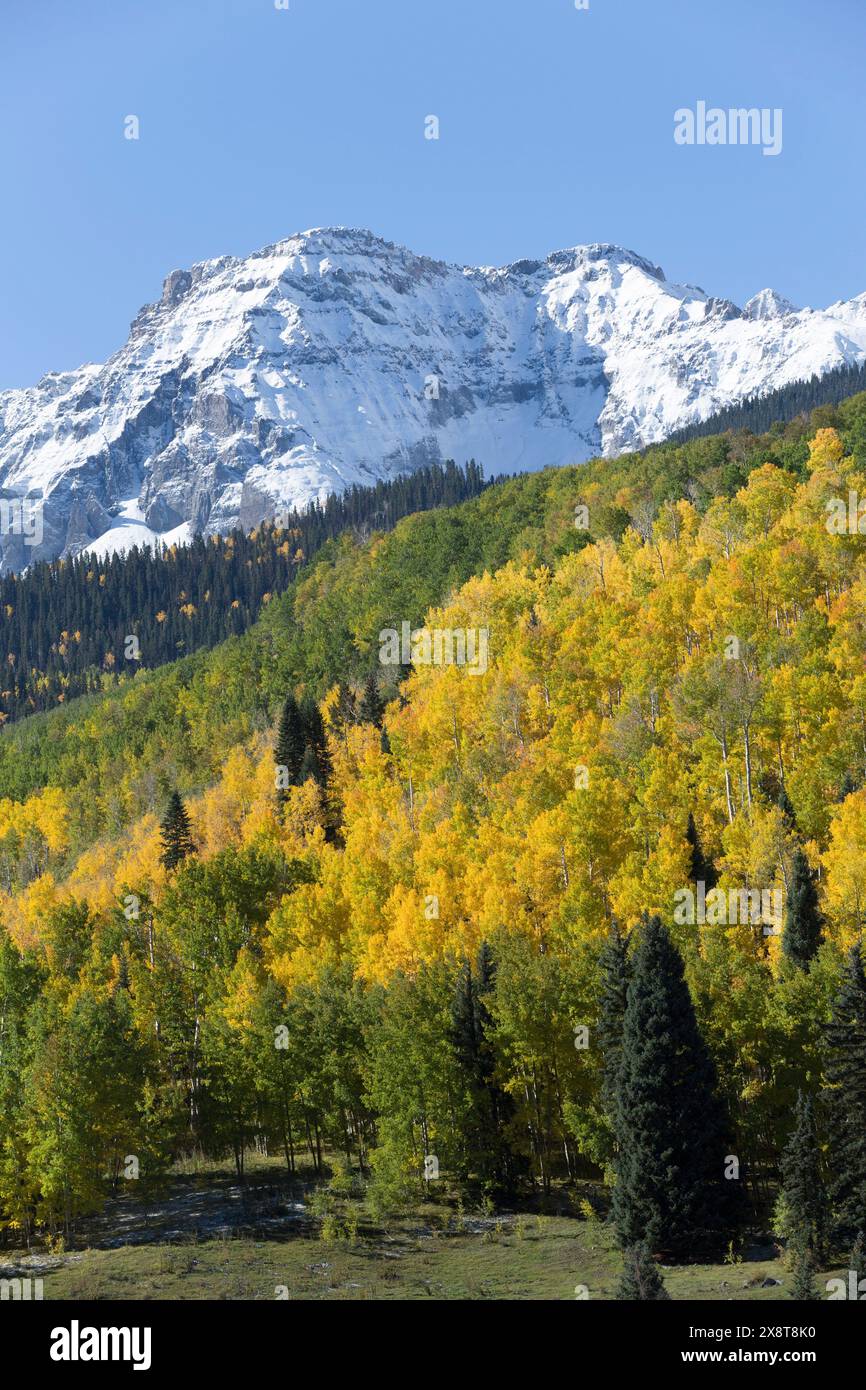 Fall Colors, of Road 7, Sneffle Range (background), near Ouray ...