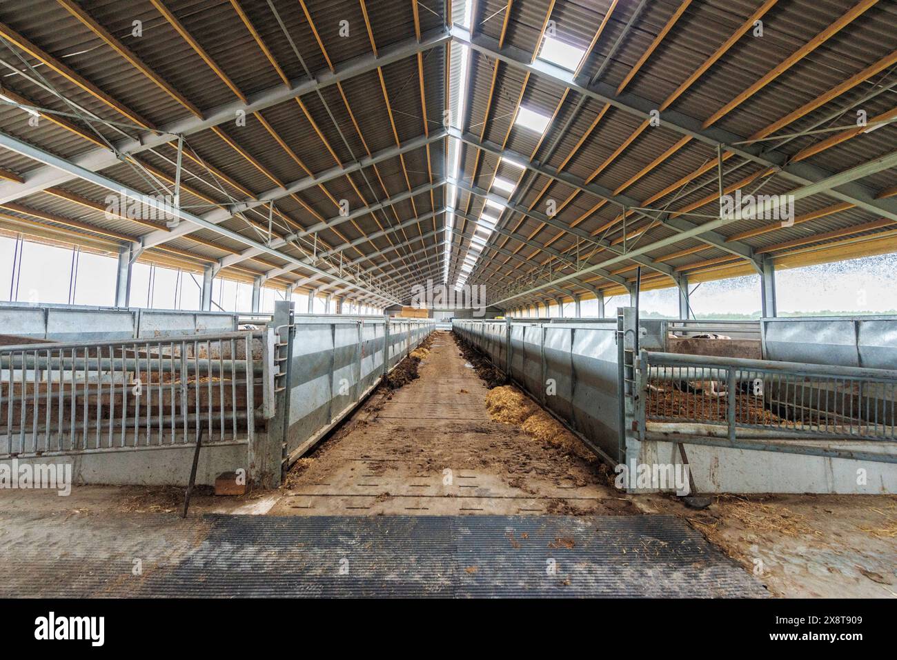 De walhoeve hi-res stock photography and images - Alamy