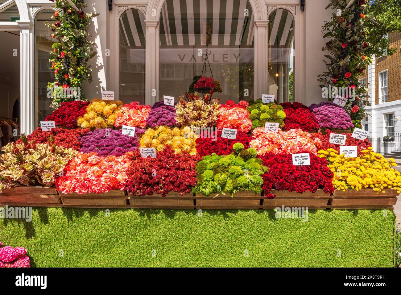 LONDON, UK - MAY 25, 2024: Spectacular floral displays for Chelsea in ...