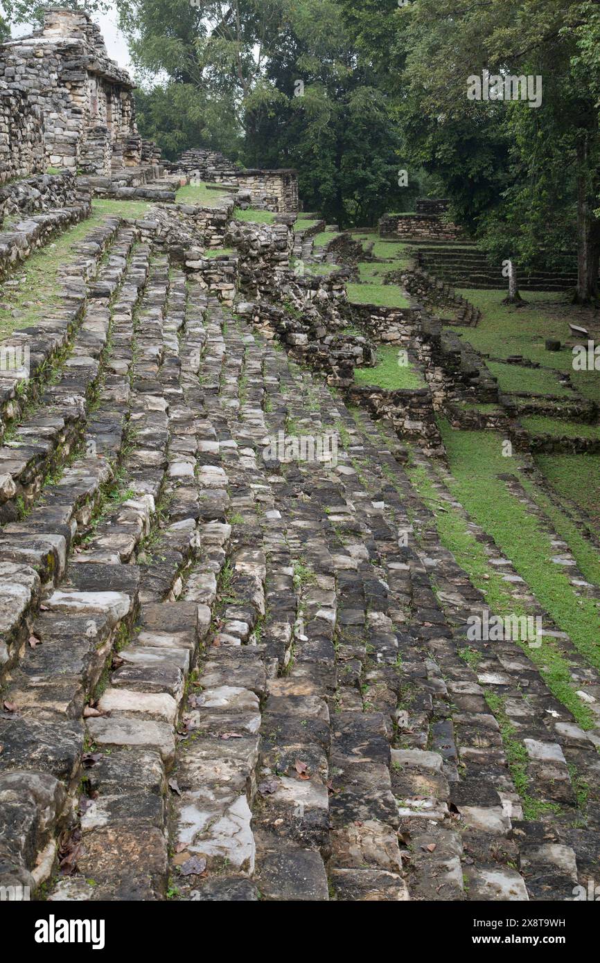 Mexico, Chiapas, Yaxchilan, Mayan Archaeological Site, the Small ...