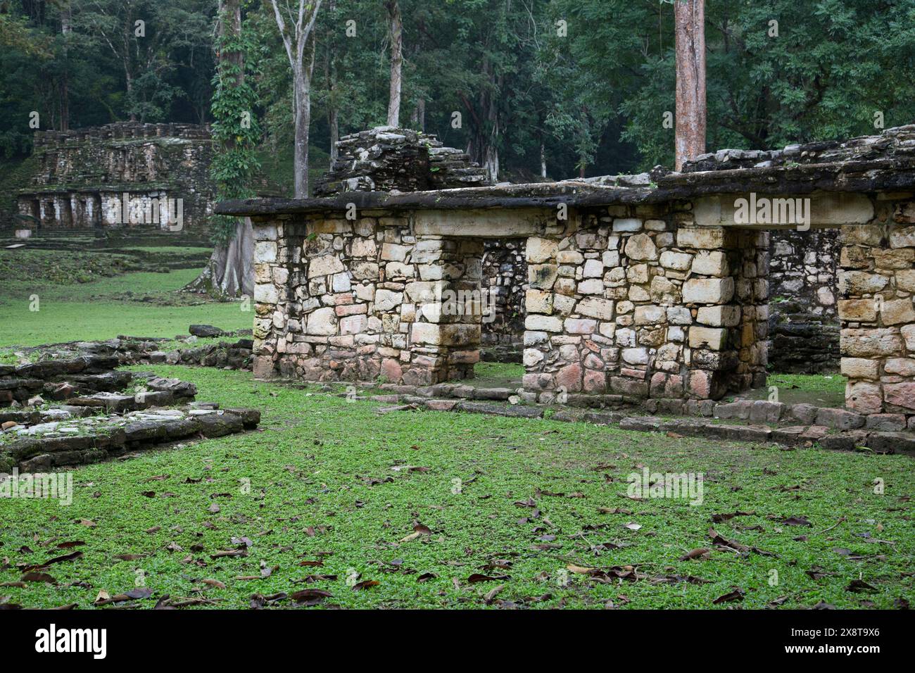 Mexico, Chiapas, Yaxchilan, Mayan Archaeological Site, Structure 16 ...