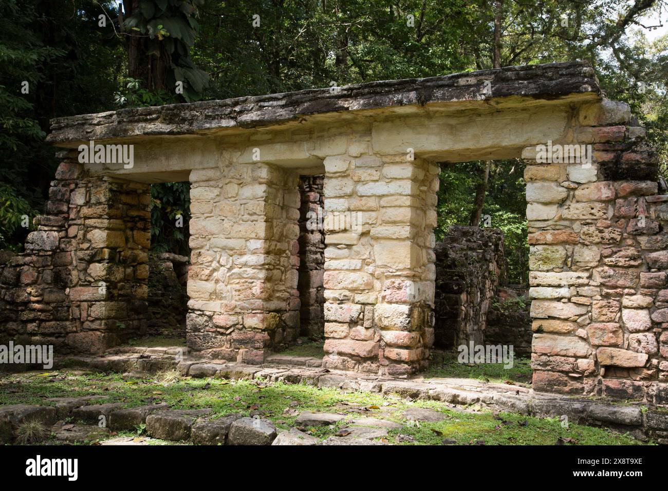 Mexico, Chiapas, Yaxchilan, Mayan Archaeological Site, Structure 24 ...