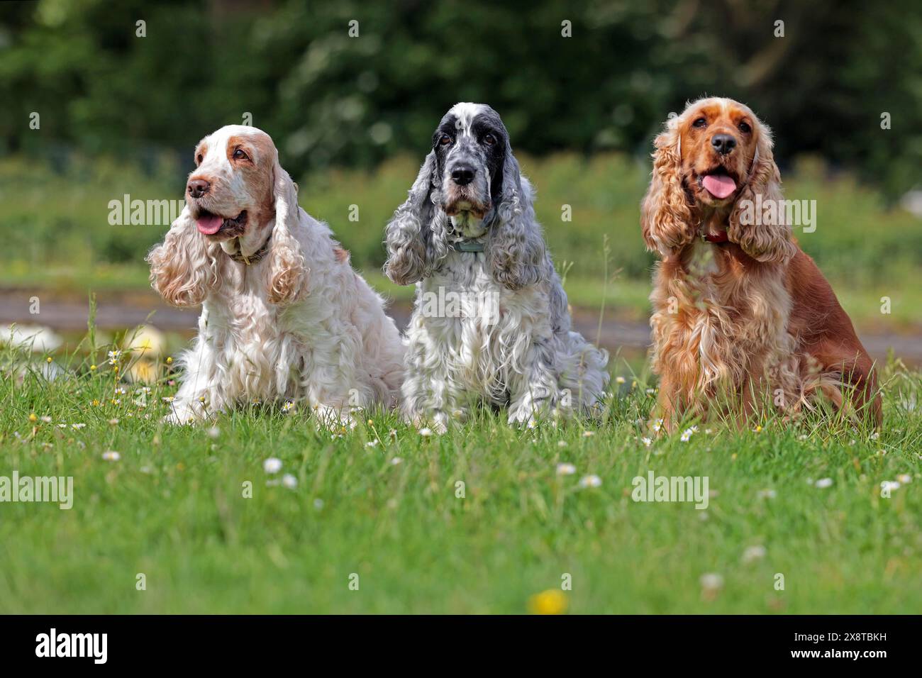 3 colours hi-res stock photography and images - Alamy