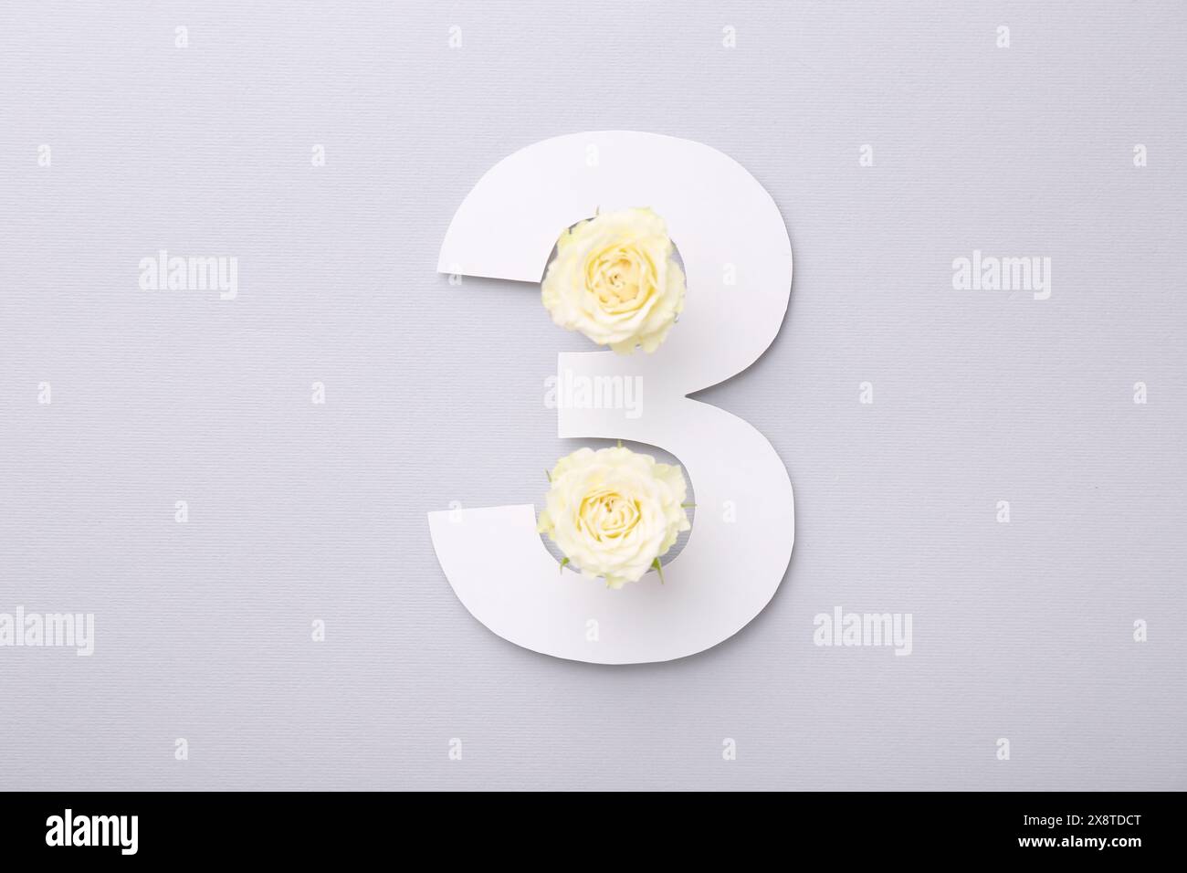 Paper number 3 and beautiful rose flowers on light grey background, top ...