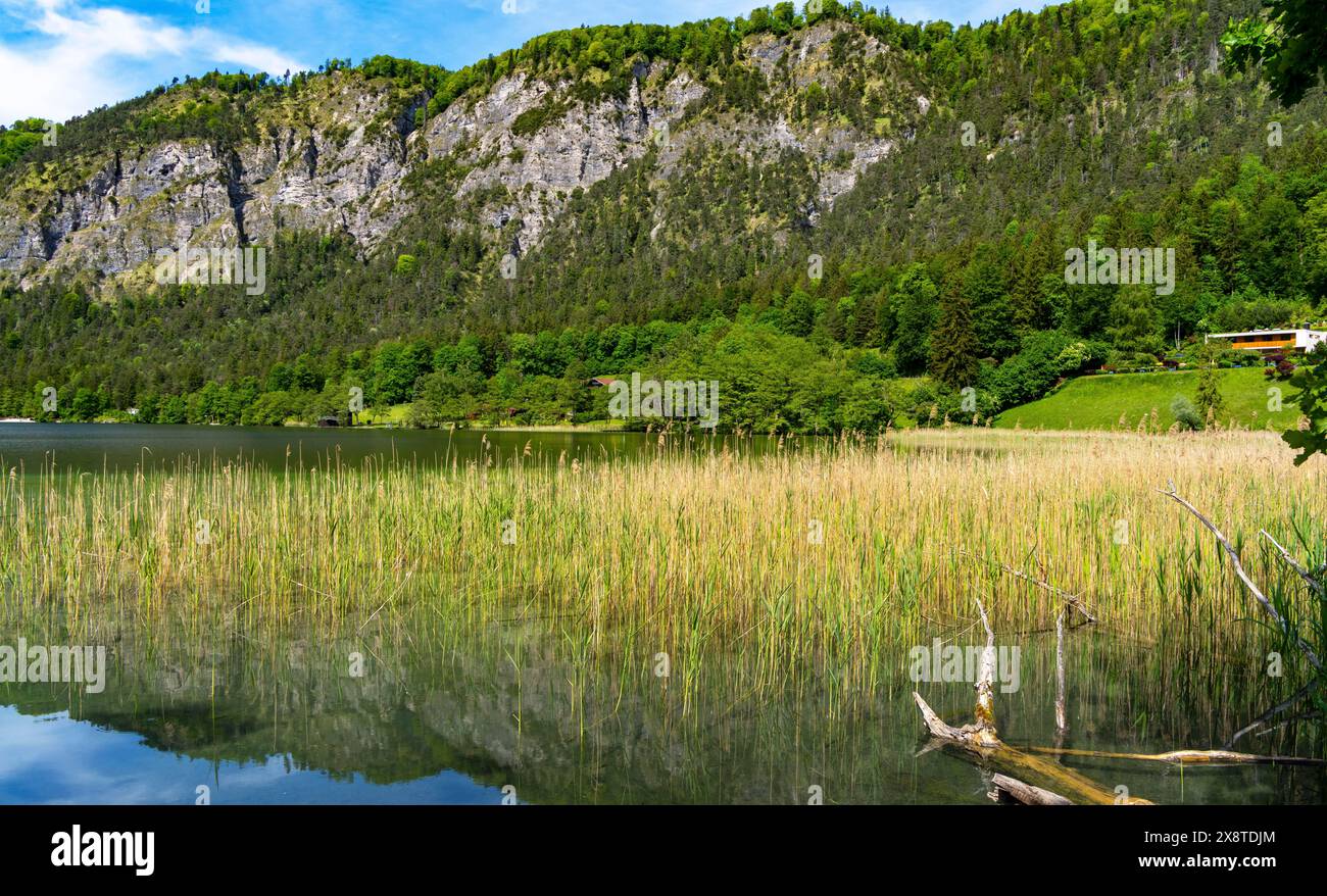 Landscape at Lake Thumsee, Bad Reichenhall, Bavaria, Germany Stock ...