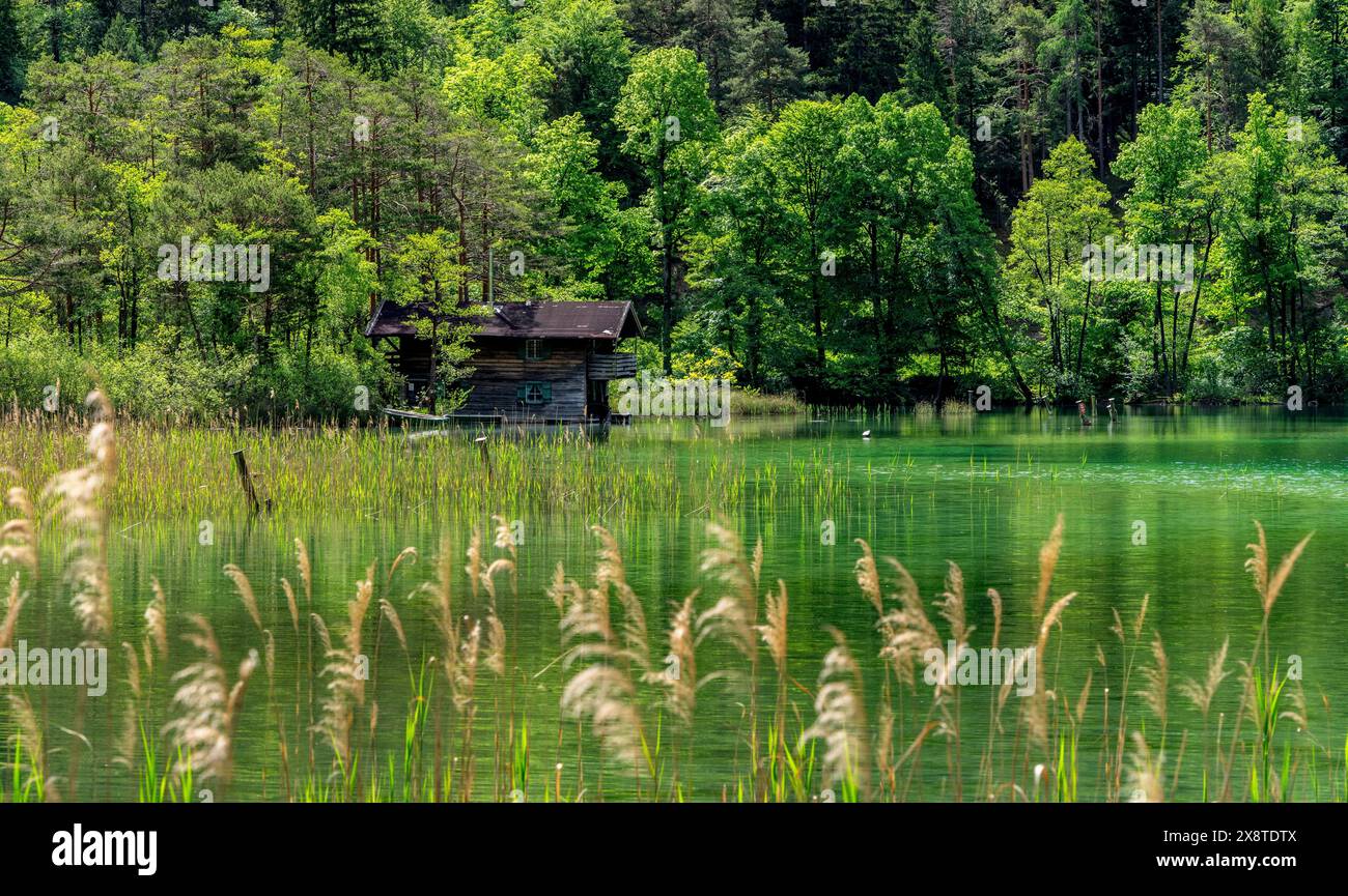 Landscape at Lake Thumsee, Bad Reichenhall, Bavaria, Germany Stock ...