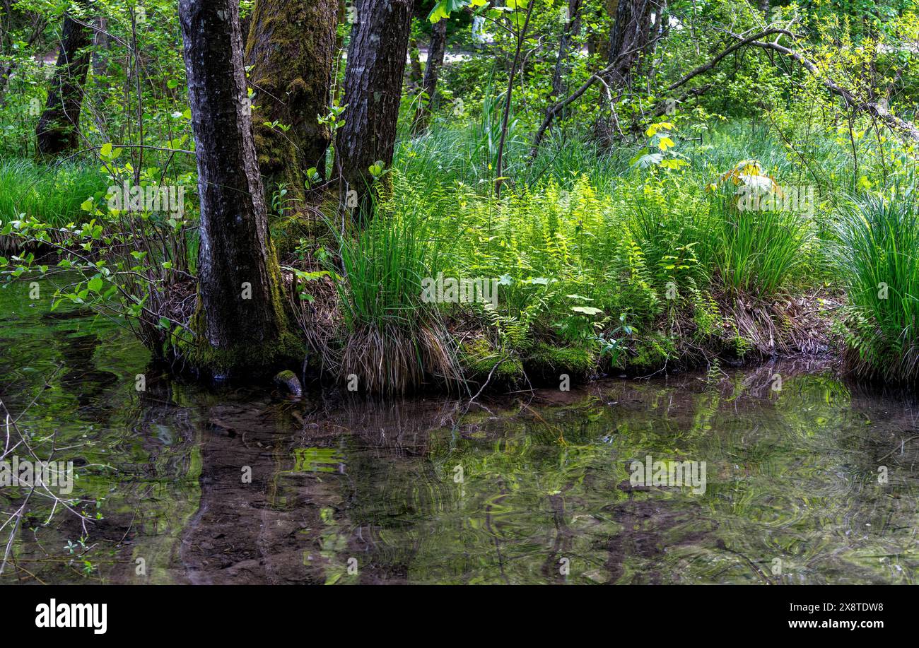 Landscape at Lake Thumsee, Bad Reichenhall, Bavaria, Germany Stock ...