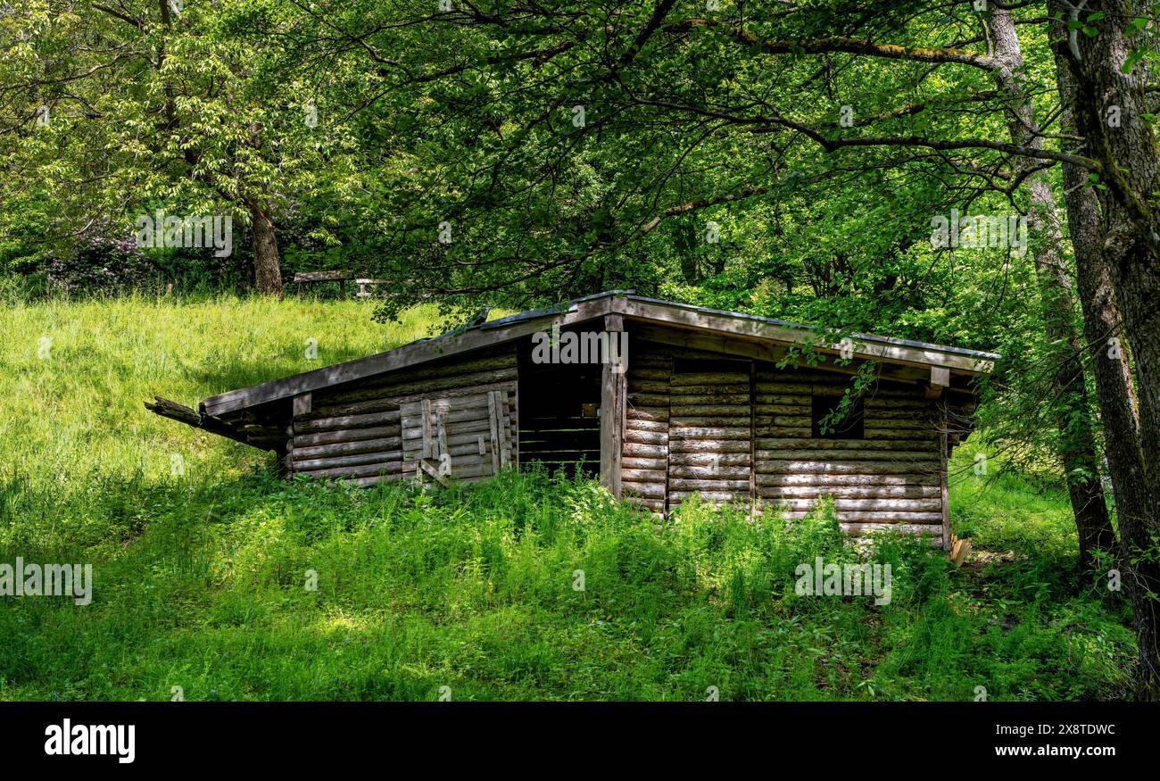 Abandoned log cabin on Lake Thumsee, Bad Reichenhall, Bavaria, Germany ...