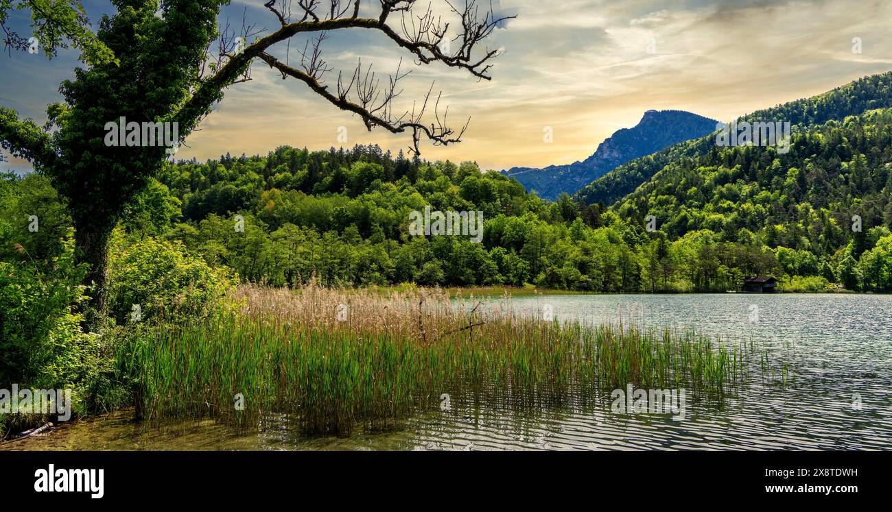 Landscape at Lake Thumsee, Bad Reichenhall, Bavaria, Germany Stock ...