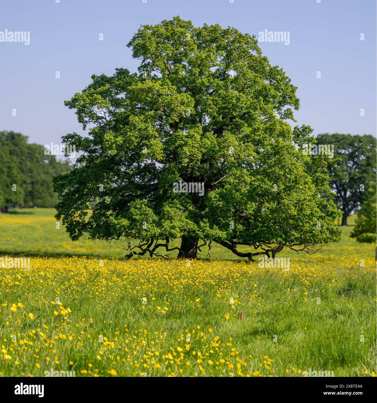Cotswolds hills road hi-res stock photography and images - Alamy