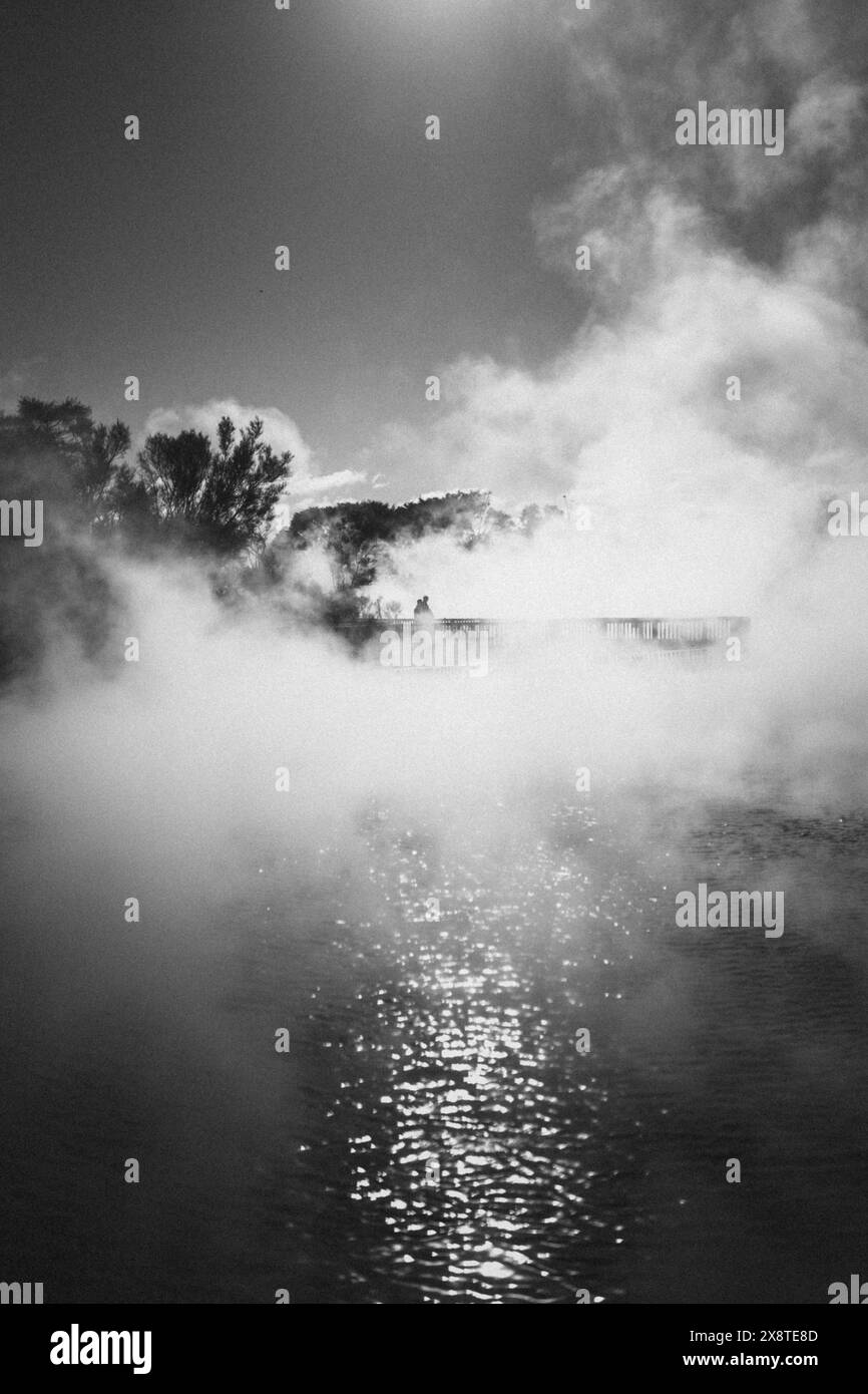 A sulphur spring at a lake in Rotorua, New Zealand Stock Photo - Alamy