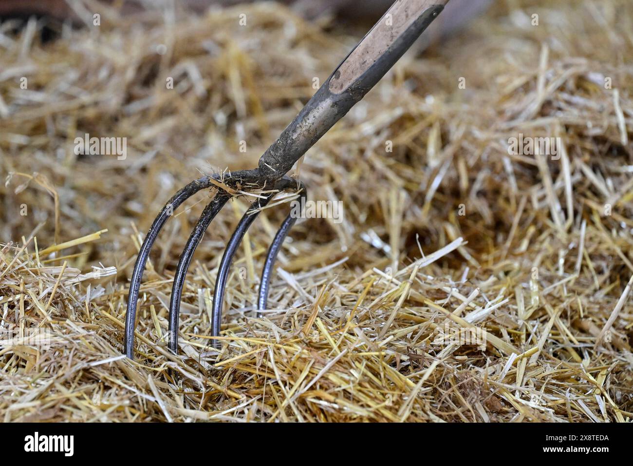 Pitchfork symbol hi-res stock photography and images - Alamy