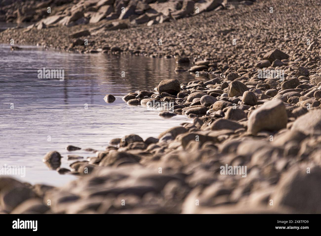 rocky beach pebbles close-up, sunny day Stock Photo - Alamy