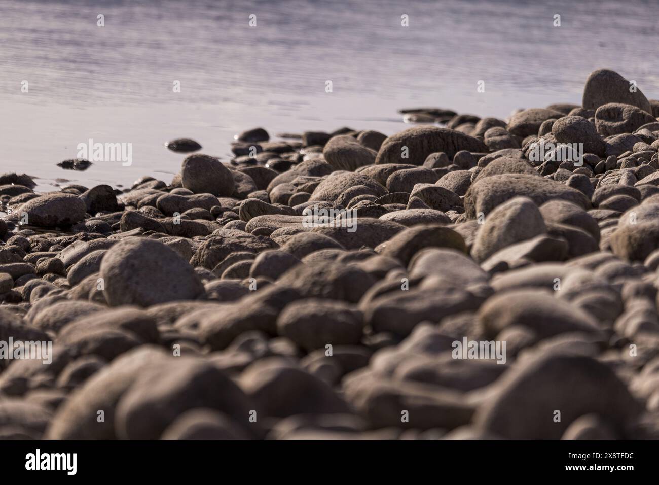 rocky beach pebbles close-up, sunny day Stock Photo - Alamy