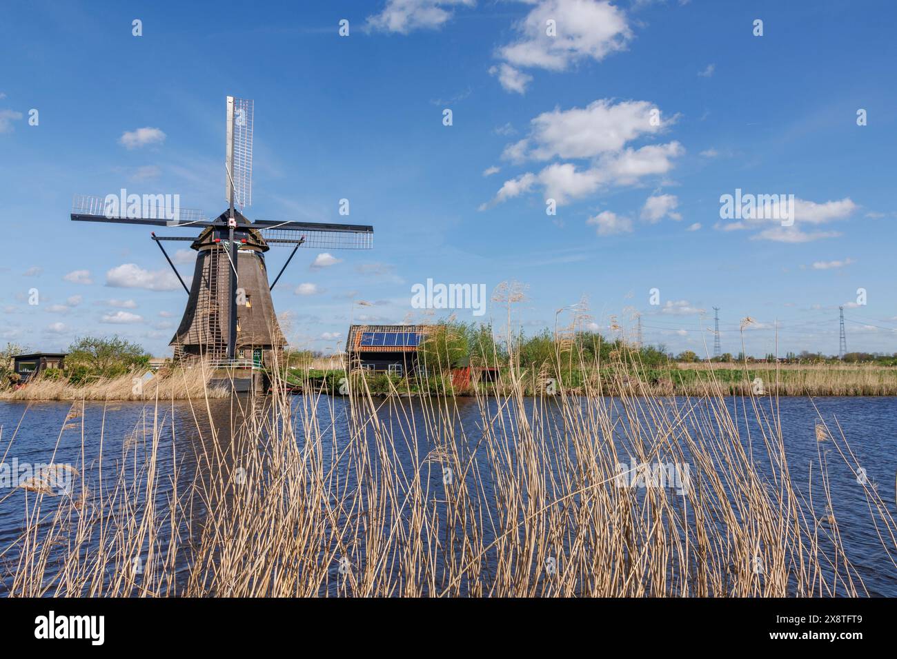 Windmill in a wide, green landscape next to water and reeds, blue sky ...