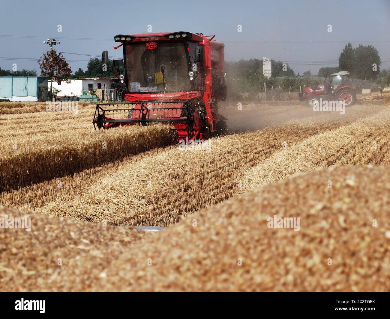 Zhumadian, China's Henan Province. 27th May, 2024. Farmers drive ...