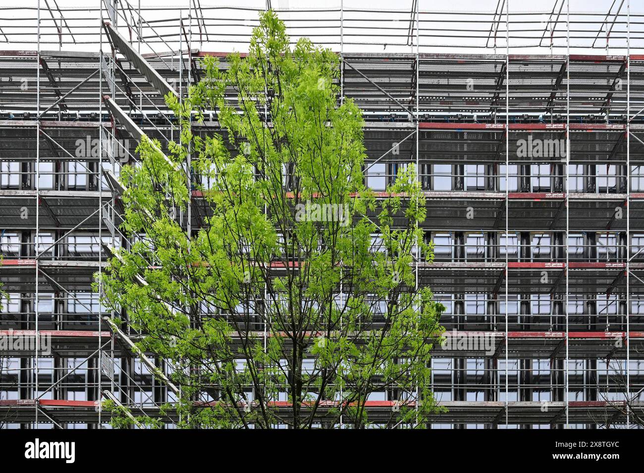 Scaffolding contrast hi-res stock photography and images - Alamy