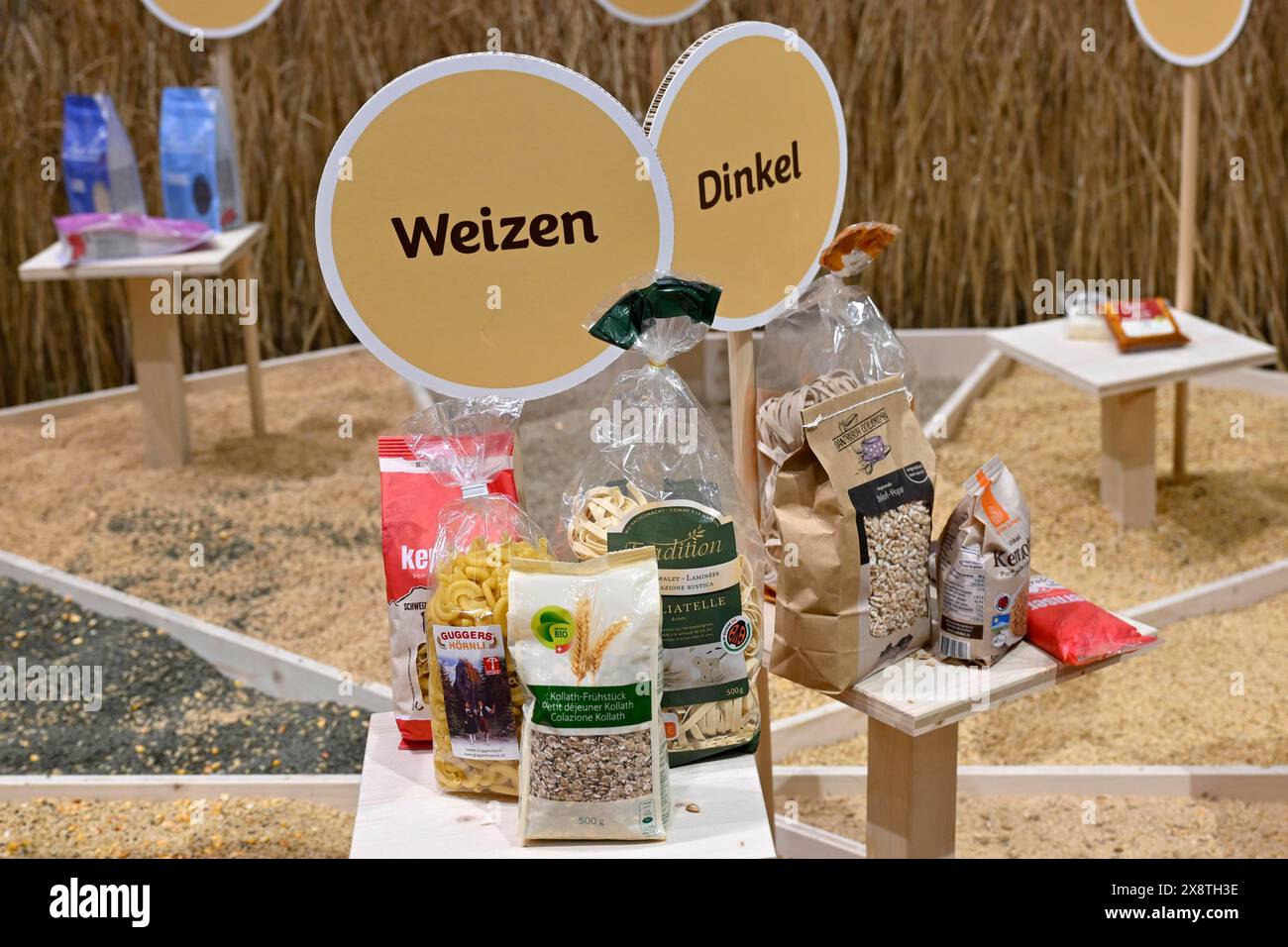 Symbolic photo of grain types wheat and spelt Stock Photo - Alamy