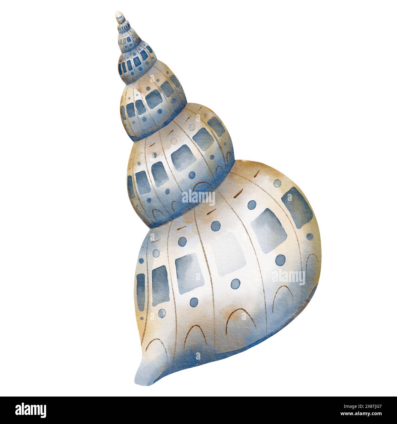 Conch shell watercolor painting hi-res stock photography and images - Alamy
