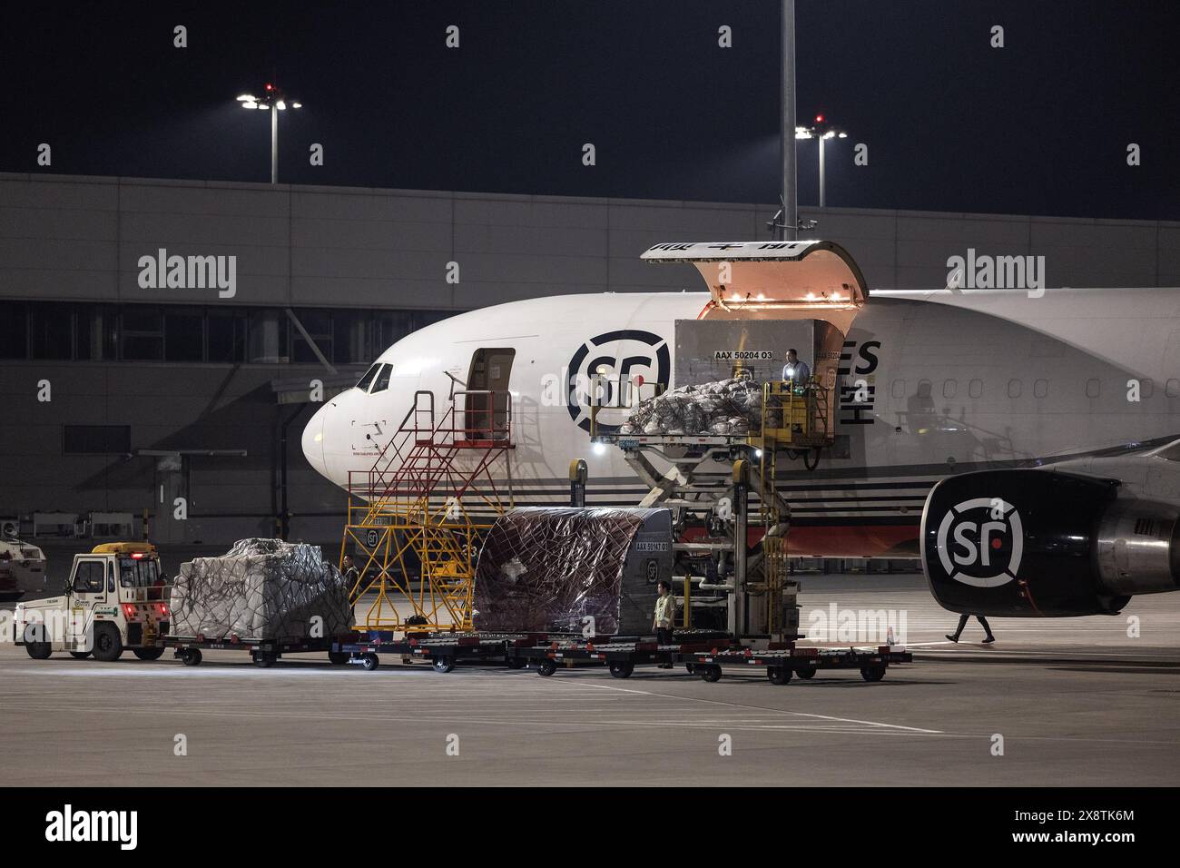 Staff members of SF airlines load the cargo onto a SF cargo aircraft at ...